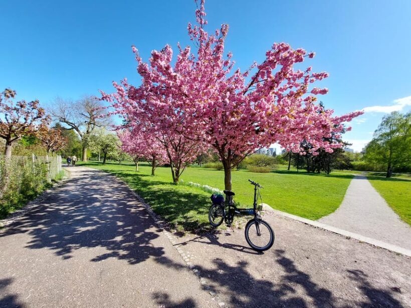 Ljubljana Sightseeing Tour by E-bikes - Who Will Love This Tour?