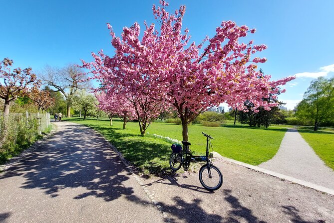 Ljubljana Sightseeing Tour by Electric Bikes - The Sum Up