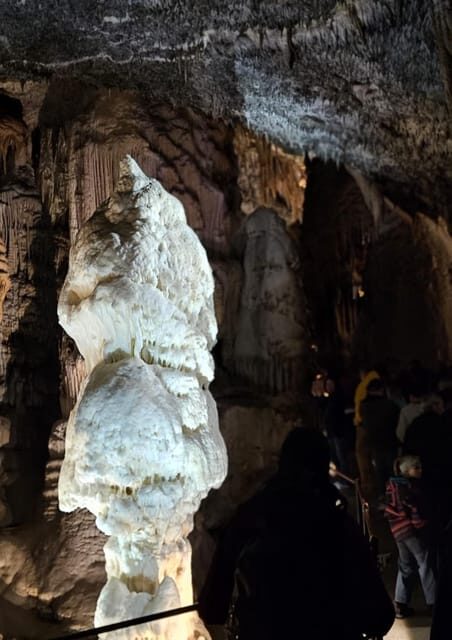 Ljubljana to Postojna Cave,Predjama Castle and Postojna park - Authentic Experiences and Traveler Insights