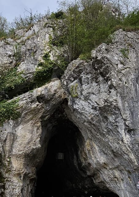 Ljubljana to Postojna Cave,Predjama Castle and Postojna park - Practical Tips for Travelers