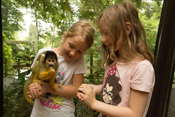 Ljubljana Tourist Card - Scenic and Leisurely Experiences