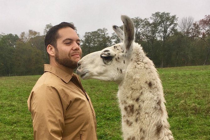 Llama/Alpaca Hike and Farm Tour - Tour Details