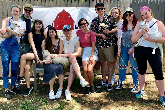 Llama/Alpaca Hike and Farm Tour - Reviews and Feedback