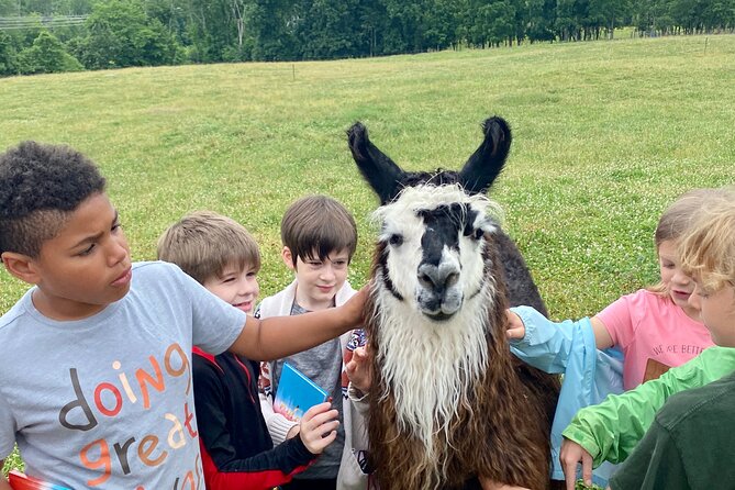 Llama/Alpaca Hike and Farm Tour - About the Farm Homestead