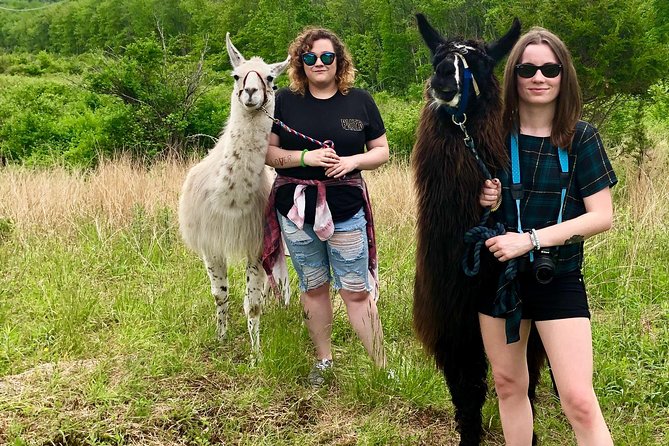 Llama/Alpaca Hike and Farm Tour - Connecting With Nature