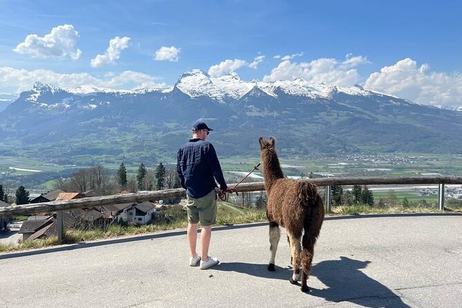 Llama Hike Through the Wonderful Liechtenstein Mountains - Meet Your Llama Companion