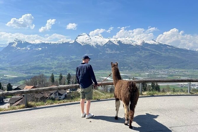 Llama hike with homemade, traditional cheese fondue - A Delightful Mix of Animals, Nature, and Culinary Pleasure: Llama Hike with Homemade Cheese Fondue