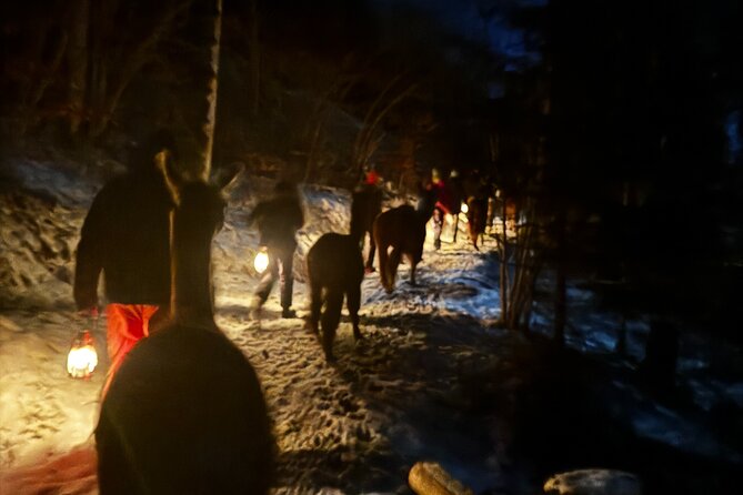 Llama hike with homemade, traditional cheese fondue - Analyzing the Value