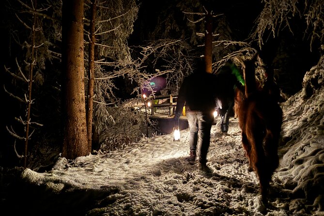 Llama hike with homemade, traditional cheese fondue - Why You Should Consider This Experience