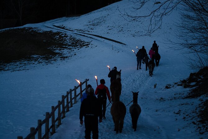 Llama hike with homemade, traditional cheese fondue - FAQs