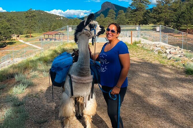 Llama to Lunch in the Rocky Mountains - The Practical Side: What to Expect