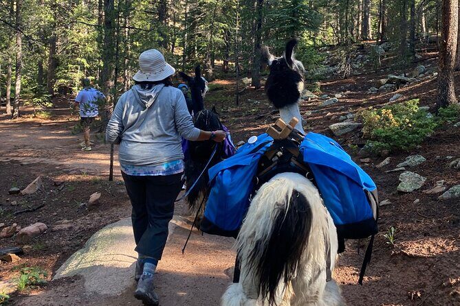 Llama to Lunch in the Rocky Mountains - Reviews and Feedback