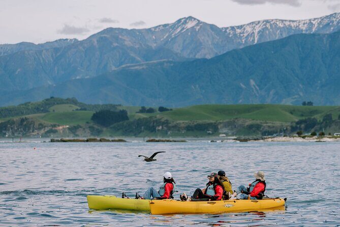 Llama Trek (Half-day) - Kaikoura Bay, Beaches & Seal Colony - FAQ