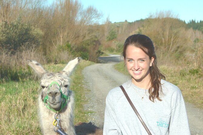 Llama Trek (Taster) - Kowhai River Valley and Native Woodland Tour - FAQ