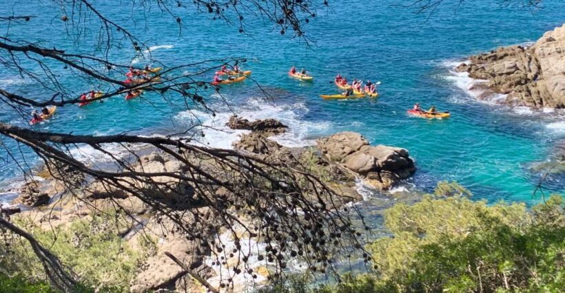 Lloret de Mar: 3-Hour Kayak and Snorkel Tour on Costa Brava - Return and Reflection
