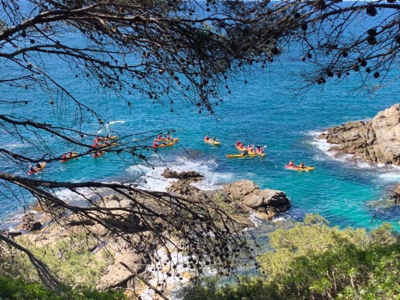 Lloret de Mar: 3-Hour Kayak and Snorkel Tour on Costa Brava - Who Will Love This Experience?