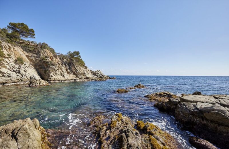 Lloret de Mar: Costa Brava Kayak Tour and Swimming - Introduction: A Calm and Beautiful Way to Discover Costa Brava