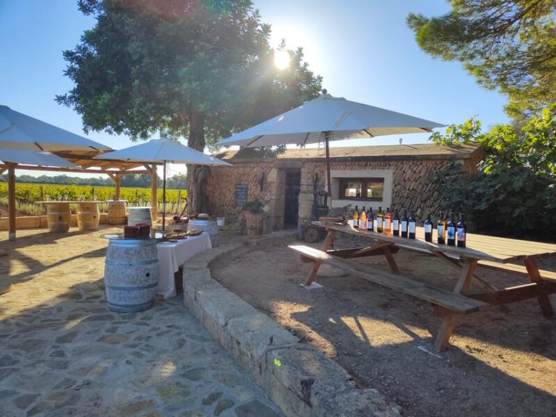 Llucmajor: Bodegas Bordoy Wine Tour - Key Points