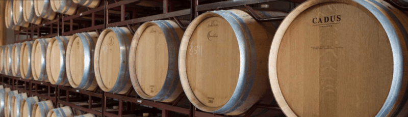 Llucmajor: Bodegas Bordoy Wine Tour - Practical Tips