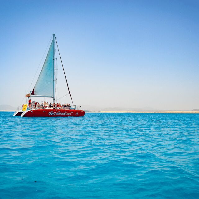 Lobos Island: 4-Hour Catamaran Trip with Lunch - Key Points