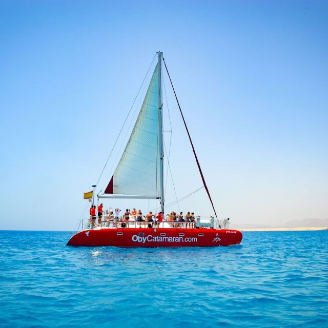 Lobos Island: 4-Hour Catamaran Trip with Lunch - The Overall Experience: Pros and Cons