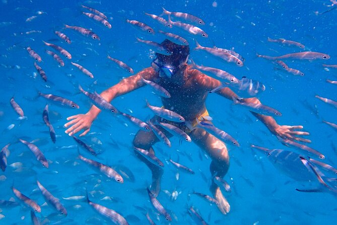 Lobos Island Ferry With Snorkel Review - Key Attractions and Activities on Lobos Island
