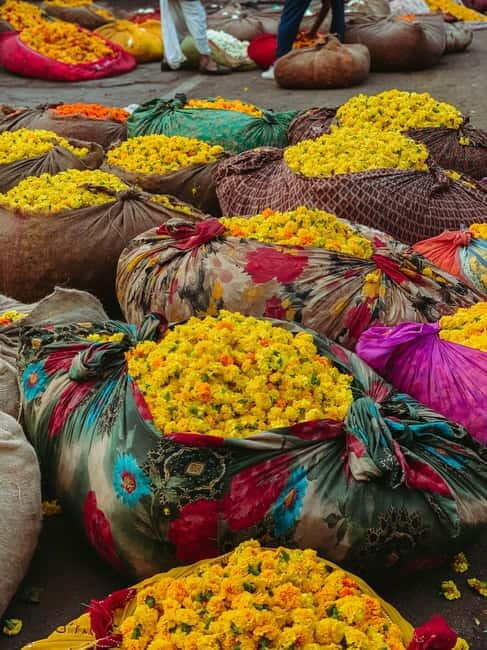 Local breakfast + Flower market + Pink city tour - What to Expect: A Deep Dive into Jaipur’s Morning