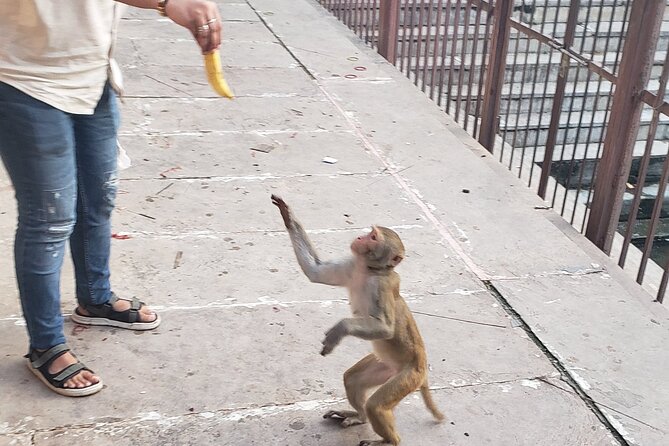 Local breakfast & full city tour by TukTuk - The Sum Up