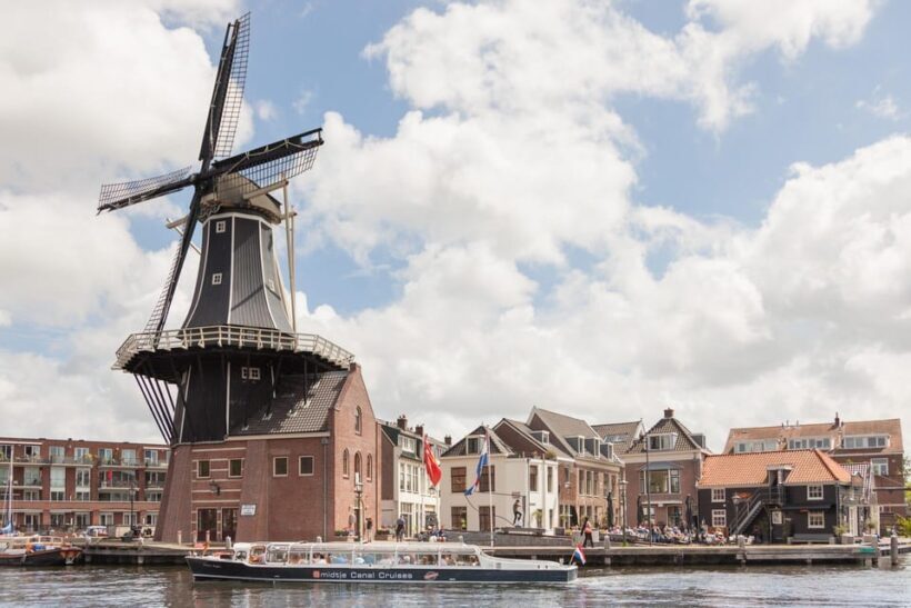 Local Cheese and Wine Cruise through Haarlem - Final Thoughts: Is It Worth It?