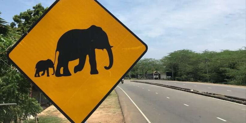 Local cultural tour by Modern Tuk Tuk - The Itinerary Breakdown