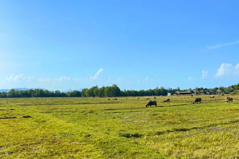Local culture Community at Koh Yao Yai - Who Will Love This Tour?