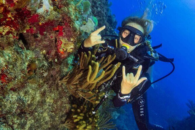 Local diving Bávaro -Double tank - What Travelers Can Expect from the Bávaro Double Tank Dive