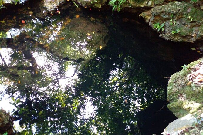 Local Excursion | Cabarete Caves National Park - The Sum Up