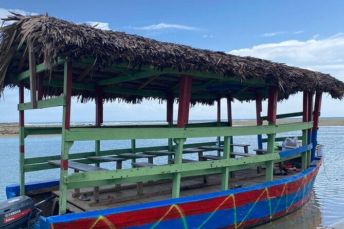 Local Excursion || Jungle Safari Excursion - Who Is This Tour Best For?