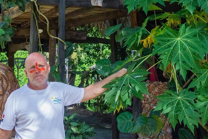 Local Excursion || Jungle Safari Excursion - Final Thoughts