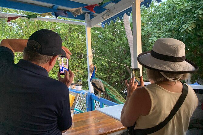 Local Experience, St. John U.S. Virgin Islands Food Tour - Key Points