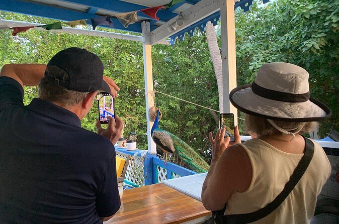 Local Experience, St. John U.S. Virgin Islands Food Tour - Who Should Consider This Tour?