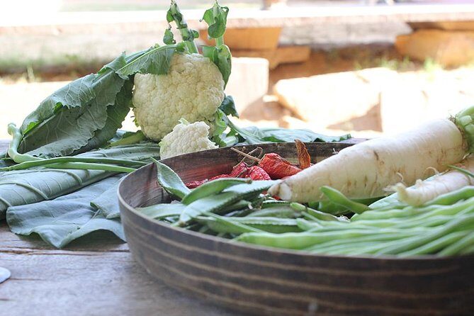 Local Farm and Village Visit with an Authentic Rajasthani Vegetarian Meal - Exploring Rajasthan’s Heart: A Farm and Village Visit from Jaipur