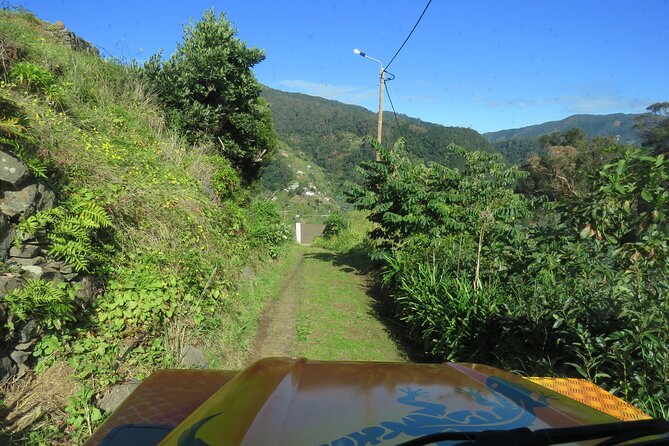 Local Farmers Market and 4WD Experience from Funchal - An In-Depth Look at the Tour Itinerary