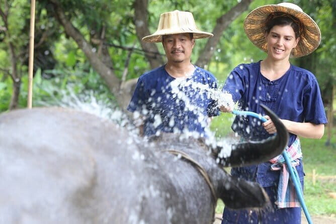 Local Farming Experience in Chiang Mai, Thailand - An In-Depth Look at the Experience