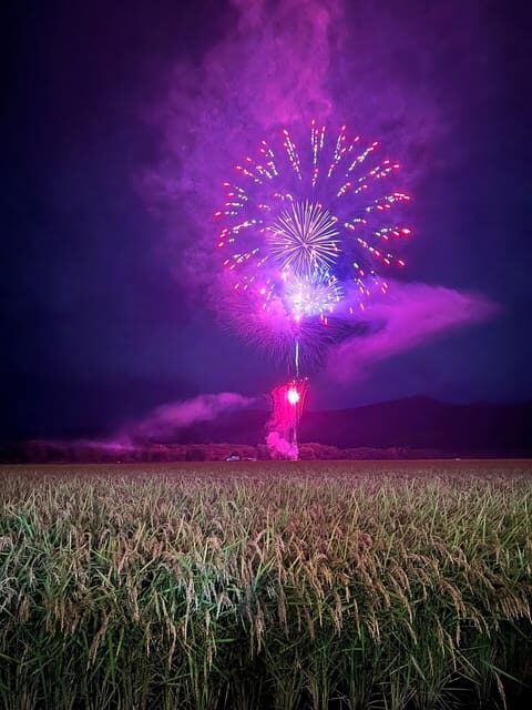 Local Fireworks Seat and Guide in Yokote, Akita - The Experience: What to Expect on the Night