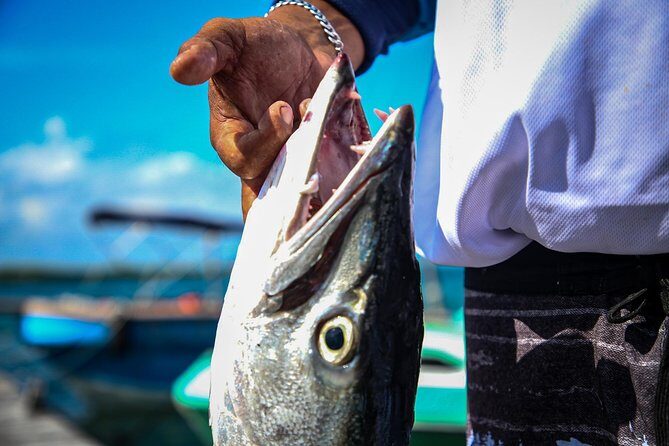 Local Fishing Plus Snorkeling Tour in Isla Mujeres - Why Choose the Local Fishing Plus Snorkeling Tour?