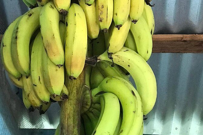 Local food tour and local fields - Who Should Consider This Tour?