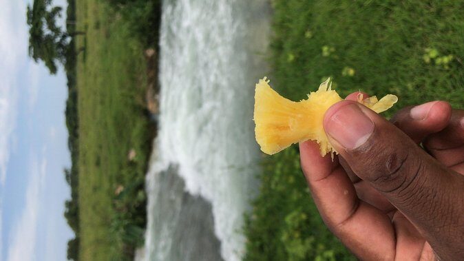 Local food tour and local fields - The Sum Up