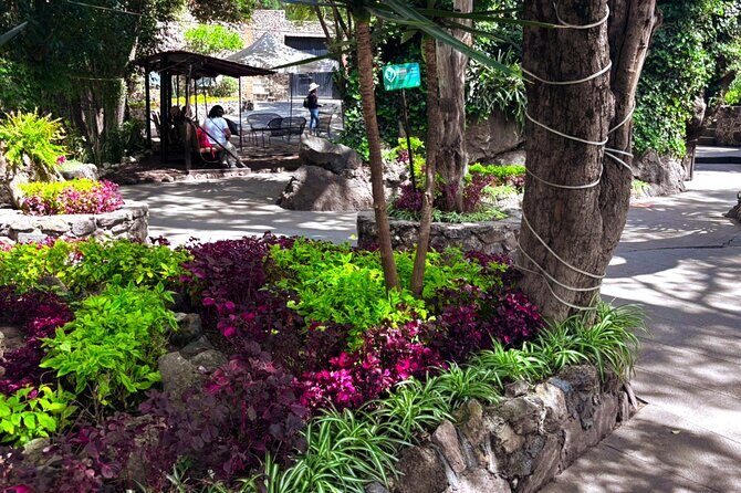 Local Fun from CDMX to The Grotto and the Pyramids of Teotihuacá - Who This Tour Is Best For