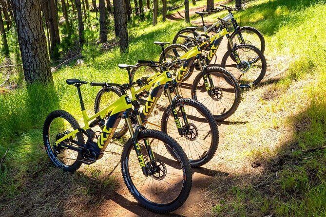 Local Gems 3 Hour MTB Small Group Tour - An In-Depth Look at the Tour Experience