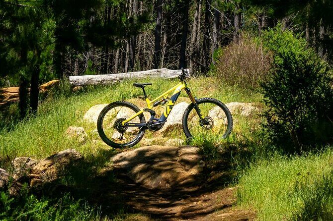 Local Gems 3 Hour MTB Small Group Tour - The Sum Up