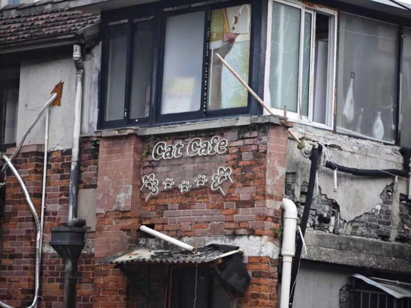 Local Market Shopping Guide - Key Points