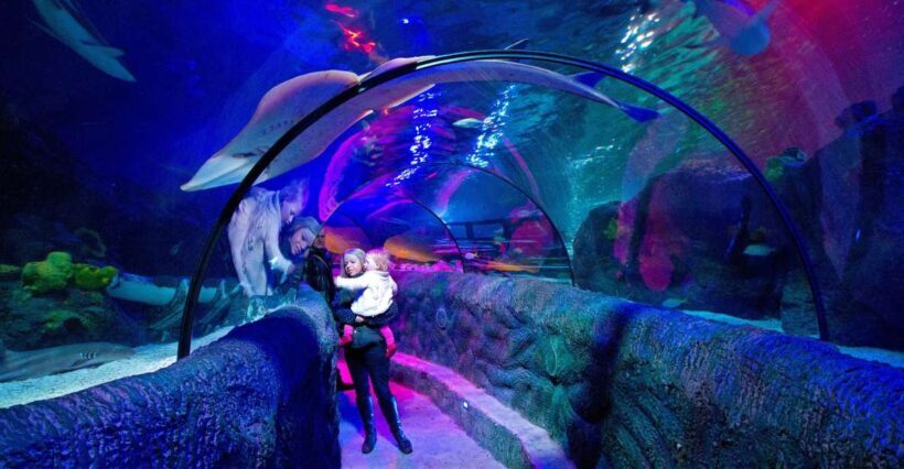 Loch Lomond: Sea Life Entrance Ticket - The Itinerary: What You Can Expect