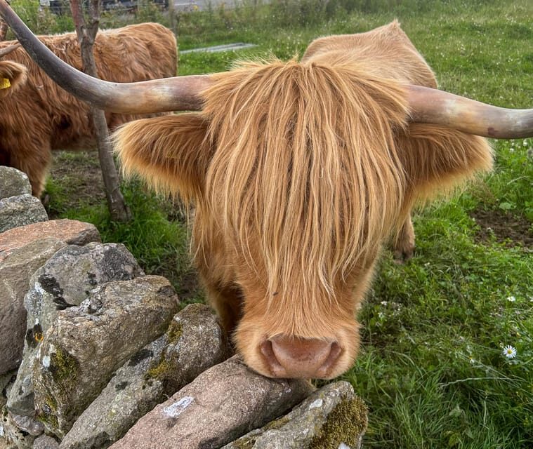 Loch Lomond, Stirling Castle and the Kelpies: Private Tour - The Sum Up: Who is This Tour Best For?